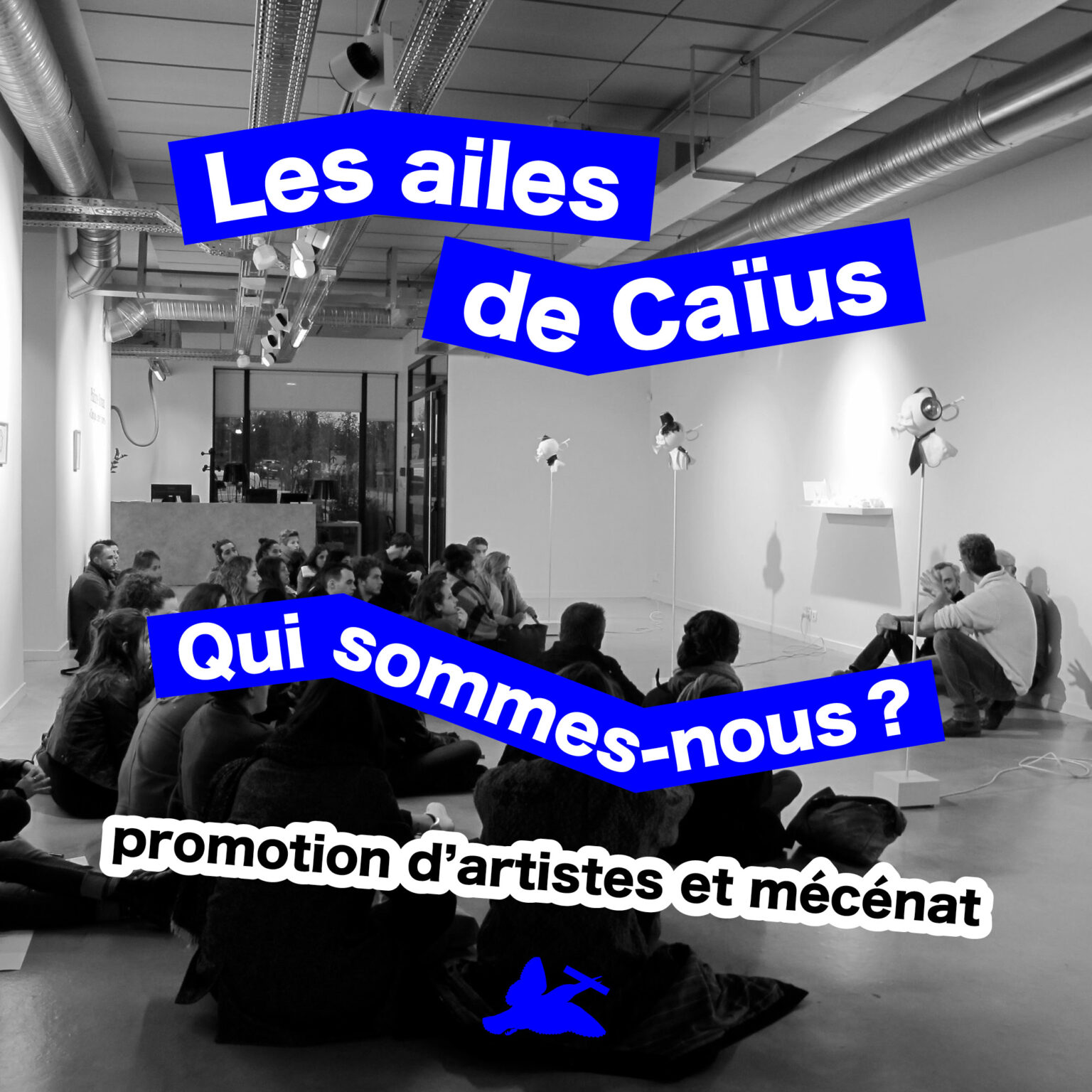 Les ailes de Caïus L'association - Les ailes de Caïus
